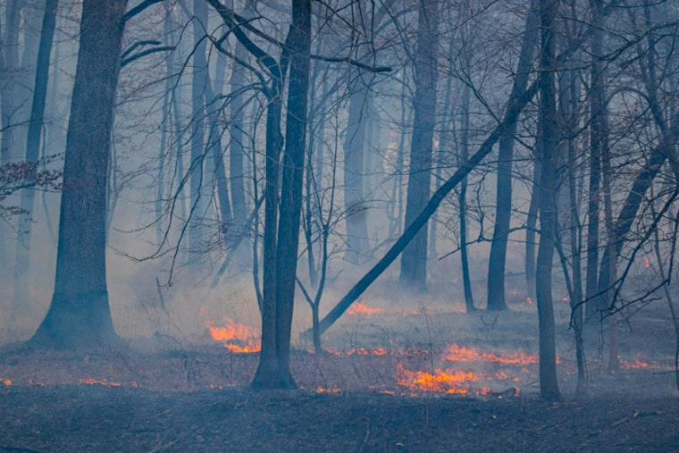 Elevated Wildfire Threat Looms Over North and Central Georgia Amid Dry