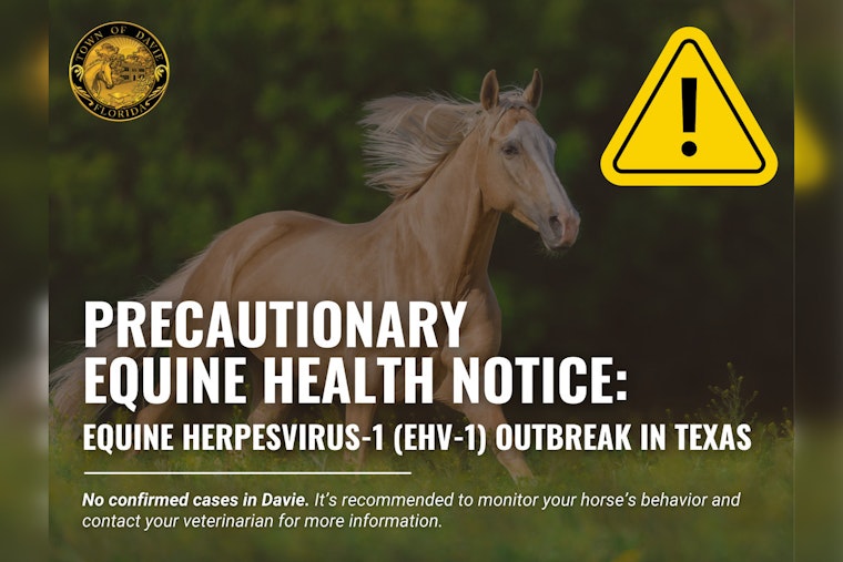 Equine Herpesvirus Outbreak in Waco Spurs Warnings to Horse Owners