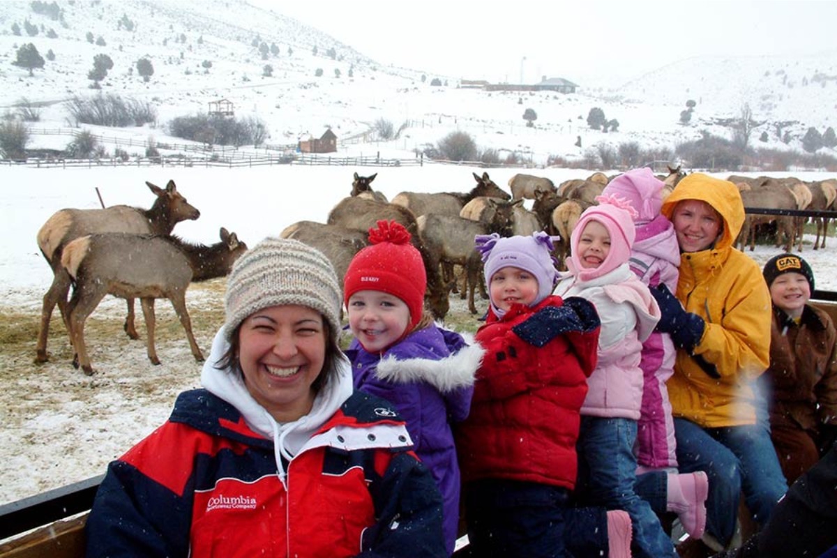 Experience Winter Wildlife Magic: Sleigh Rides Among Wild Elk at