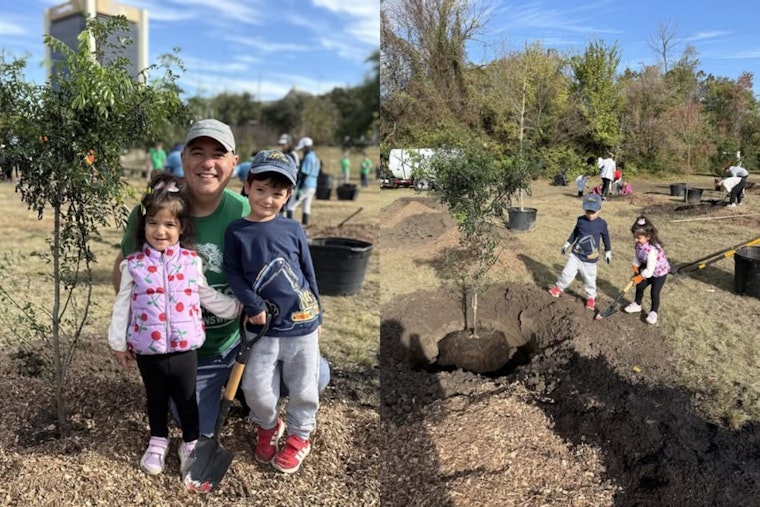 Family Tree Planting Effort Takes Root in Dallas with 'Branching Out'