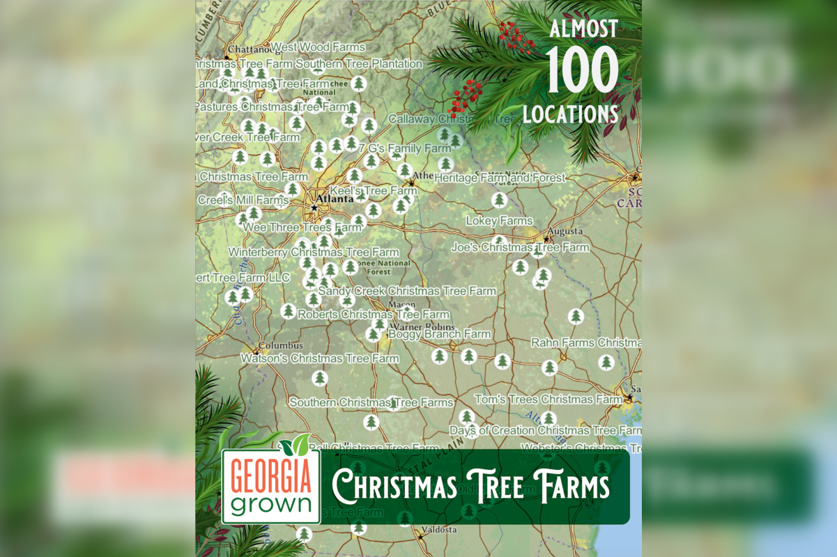Georgia Agriculture Department Unveils 2025 Christmas Tree Farm Map to
