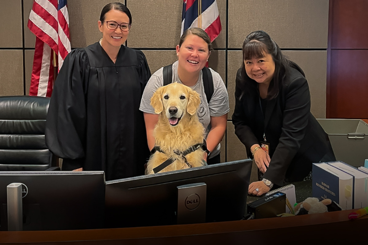 Golden Retriever Tuukka Brings Solace to Kapolei Family Court, Aiding