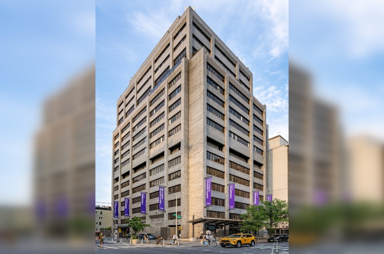 Groundbreaking Pig Kidney Transplants in NY Could Slash Wait Times for