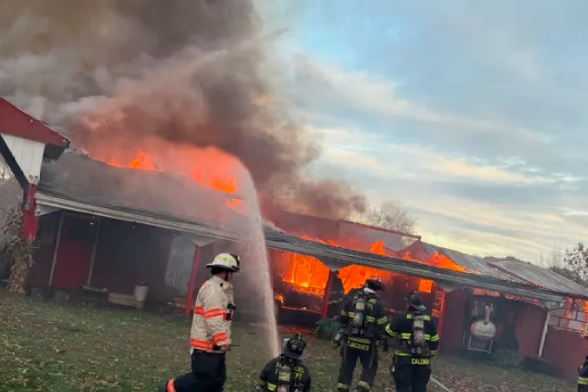 Horse Perishes, Others Saved as Firefighters Battle Barn Blaze in