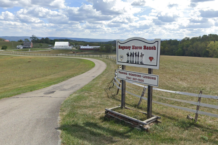 Horses Rescued as Historic Barn Succumbs to Fire in East Huntingdon