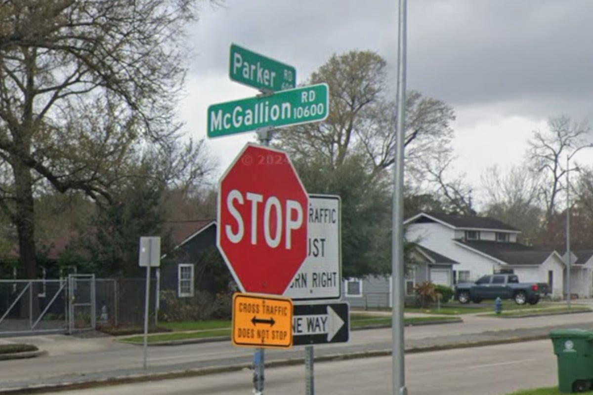 Houston Hit-and-Run Horror On McGallion Road