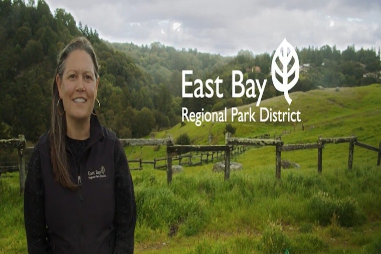 East Bay Regional Park District in Transitional Phase as Acting