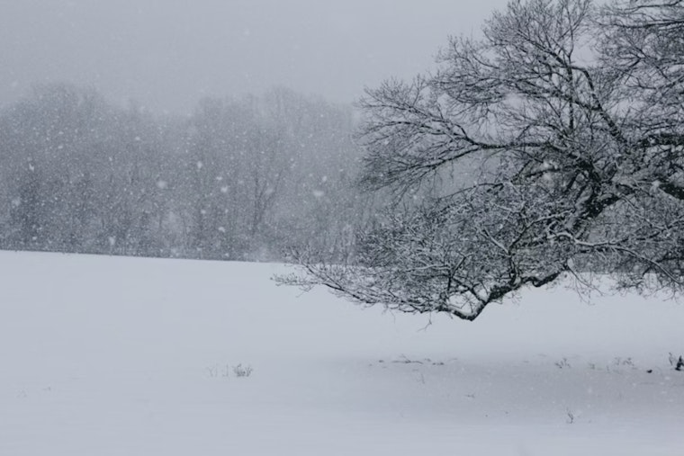 Las Vegas on Alert: NWS Issues Winter Storm Warnings Amid Rising