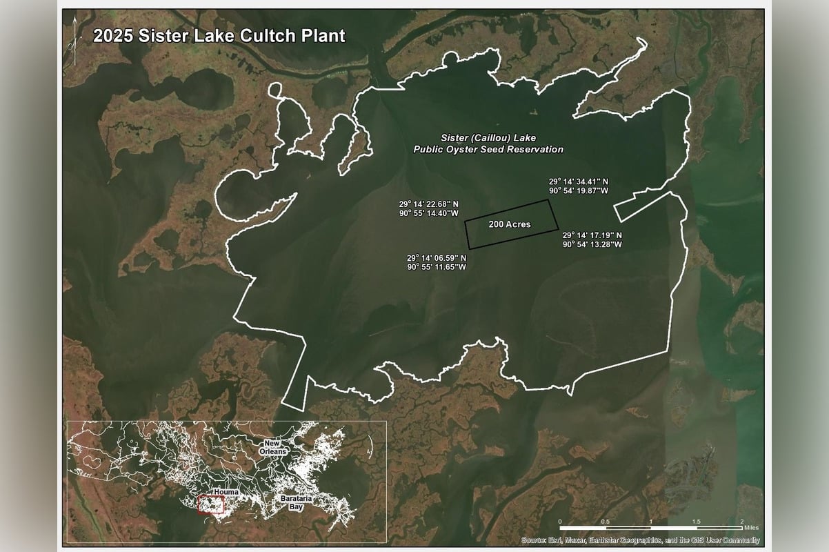 LDWF Completes New 200-Acre Oyster Reef in Sister Lake to Revitalize