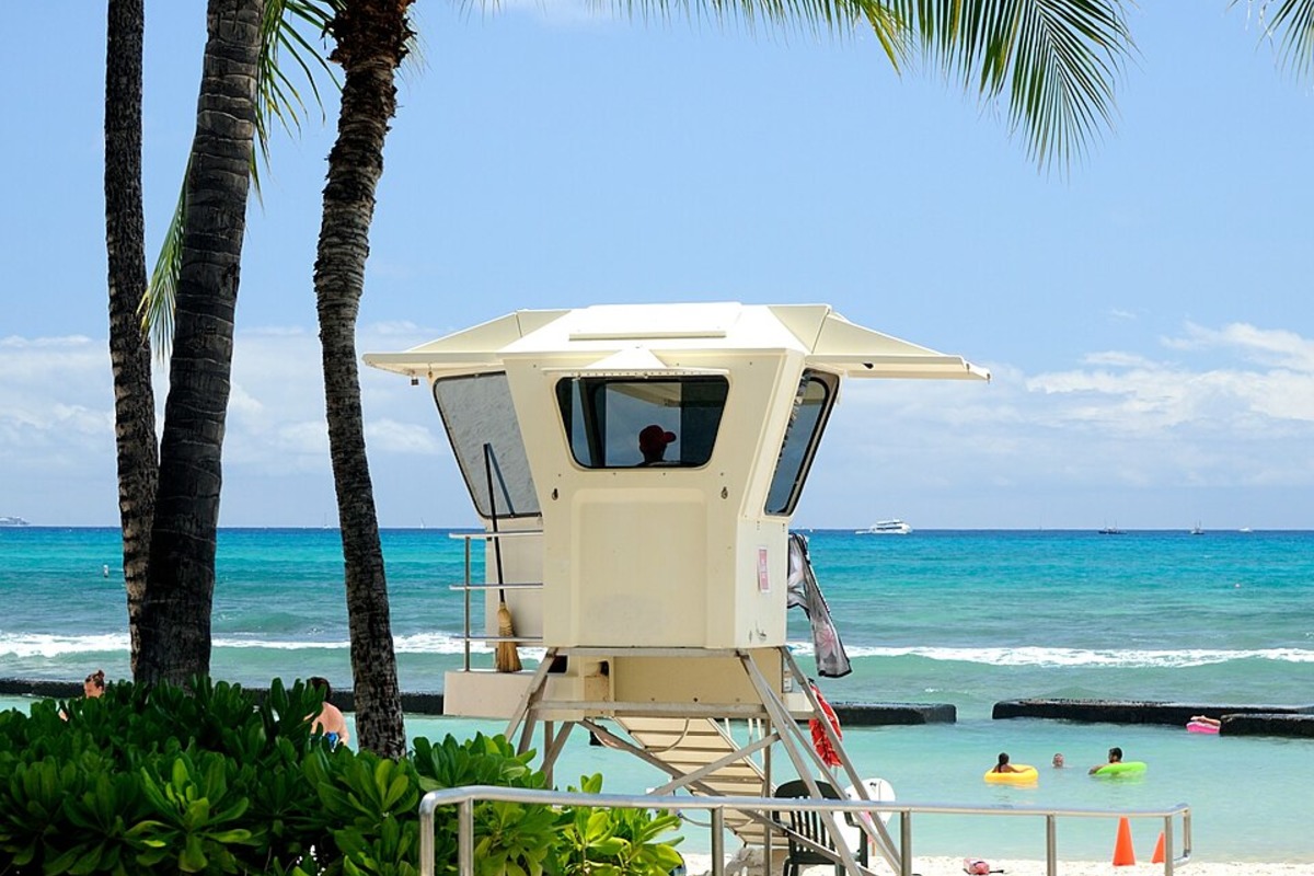 Lifeguard Boss Who Sparred With Mayor Back In Hunt For Honolulu Ocean