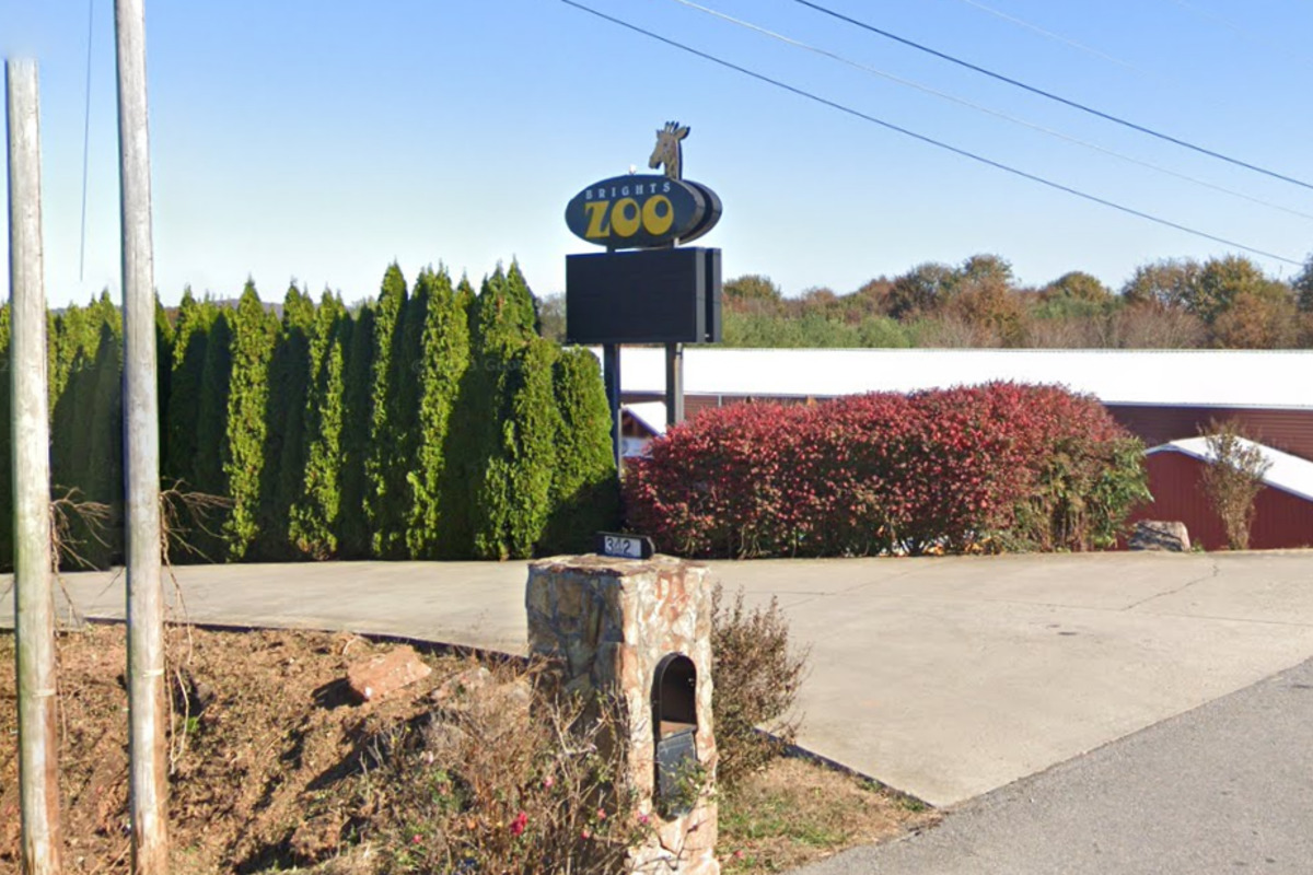 Limestone Zoo Mourns Loss of Kipekee, the World's Only Known Spotless