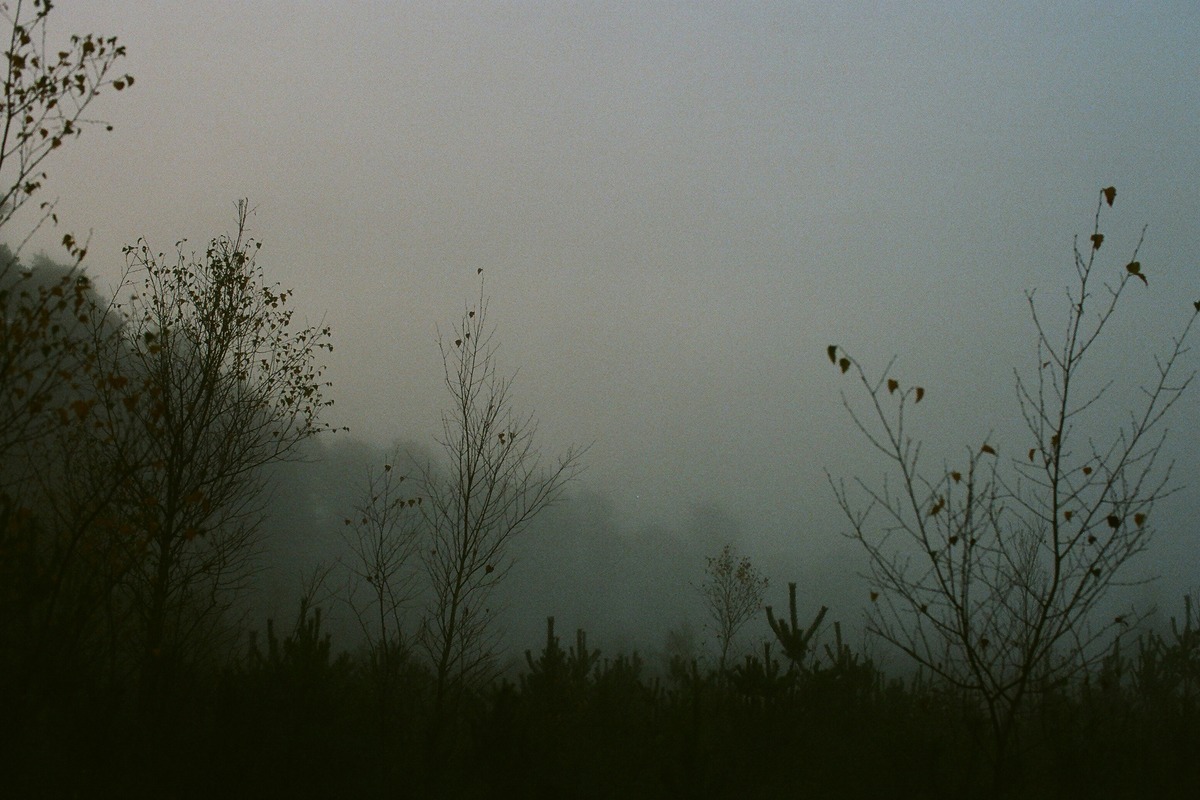 New Orleans and Southern Mississippi Under Dense Fog Advisory;