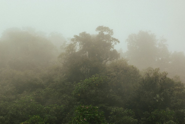 New Orleans Hit by Dense Fog Advisory, Visibility Drops as Residents