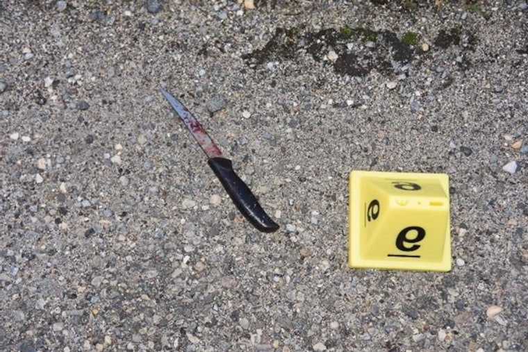 NY Attorney General's Office Clears Suffolk County Officers in Fatal