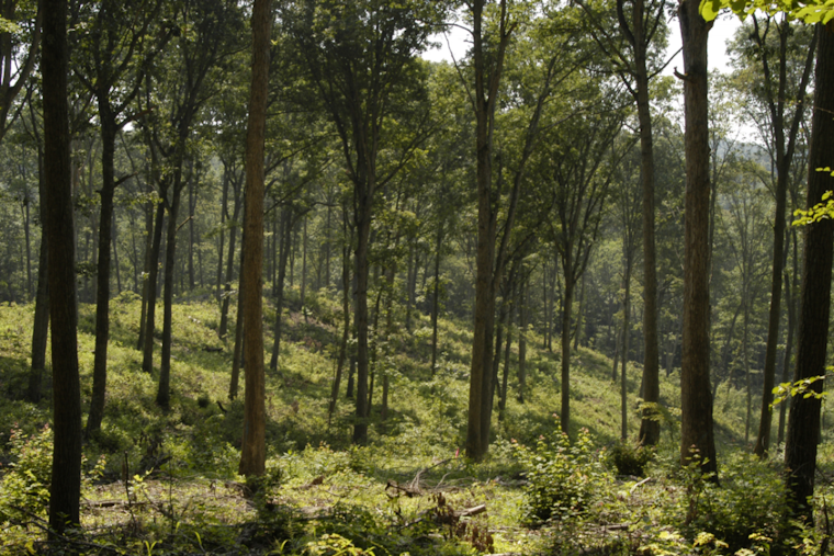 ODNR Announces Seasonal Closure of Horseback Riding and APV Trails in