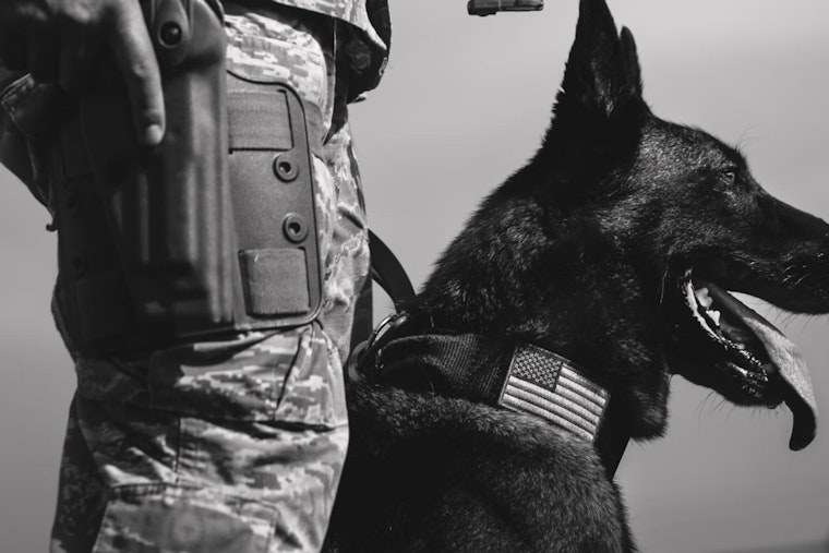 Veteran Brands Aim To Erase $25M In Vets' Medical Debt