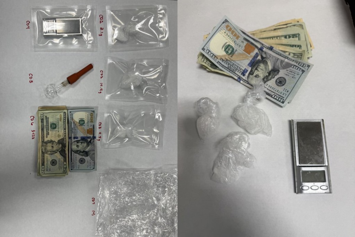 San Rafael K-9 "Tango" Assists in Drug Bust, Novato Man Charged with