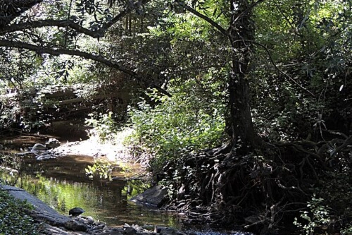 Aging Marin Lifeline Finally Gets Fix as Board OKs San Geronimo