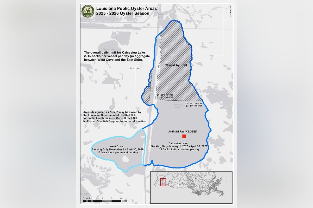 Calcasieu Lake Opens for 2025-2026 Public Oyster Season, A Boost for