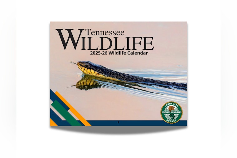 Calling All Shutterbugs TWRA Launches Tennessee Wildlife 2026-27 Photo