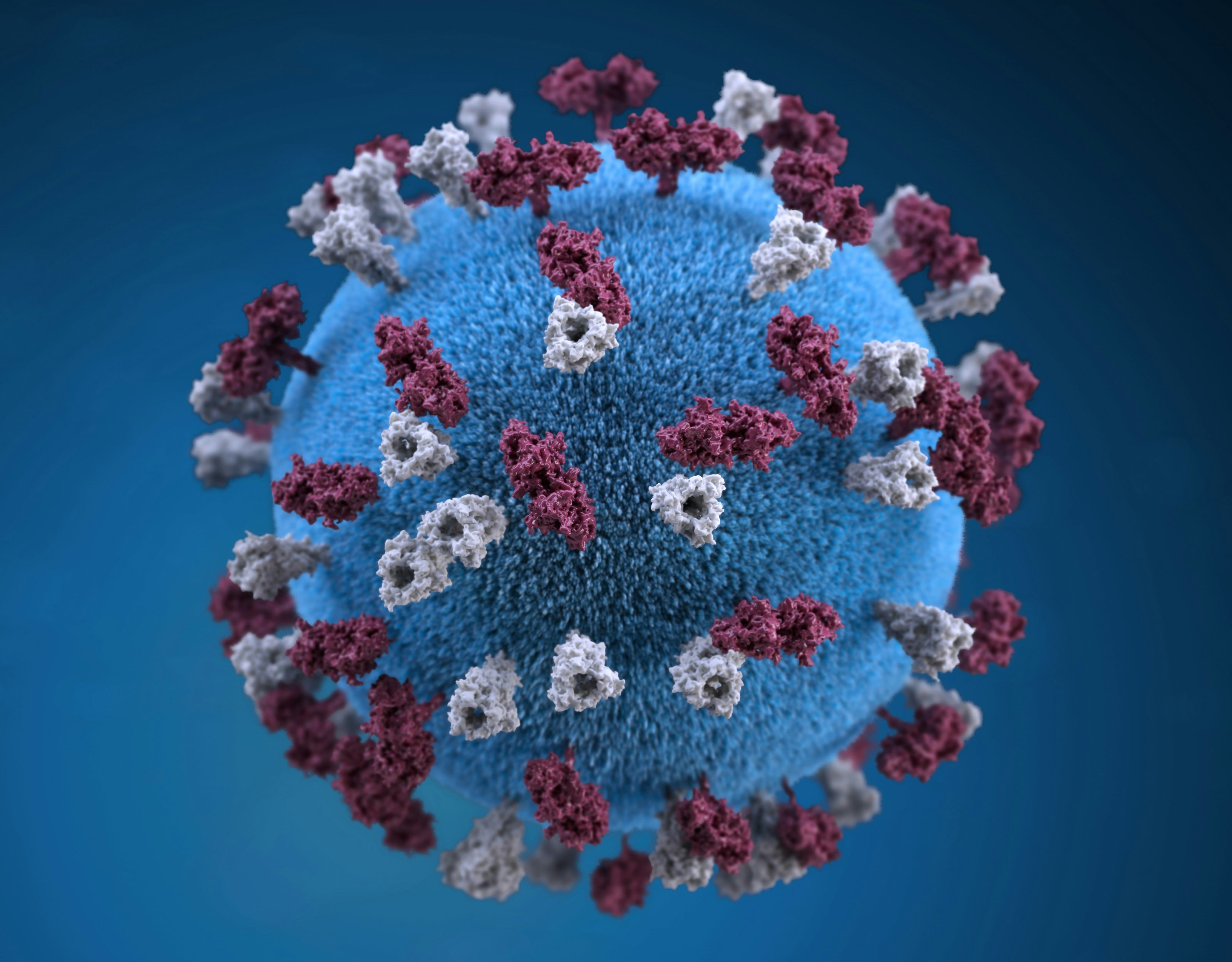 Measles Outbreak Claims Lives in West Texas as Seminole's Mennonite