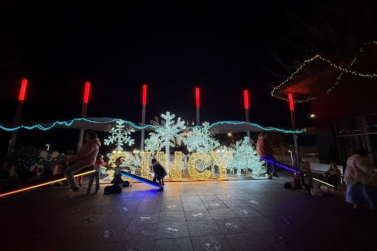 Cincinnati Parks Sparkle with Holiday Festivities: From Krohn
