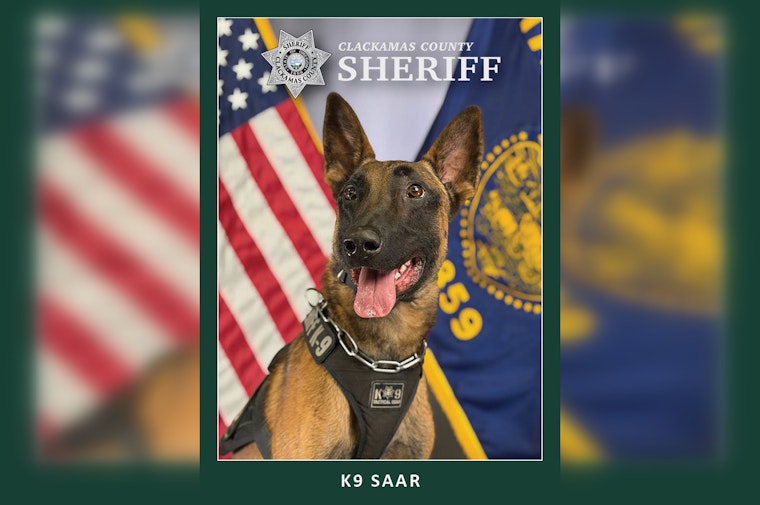 Clackamas County Sheriff's Office Welcomes K9 Saar, a Dutch-Trained