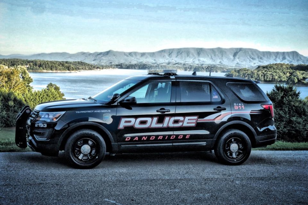 Dandridge Police Issue Bear Activity Alert in Downtown and Surrounding