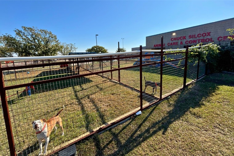 Fort Worth's Silcox Animal Shelter Receives $72,000 Donation from