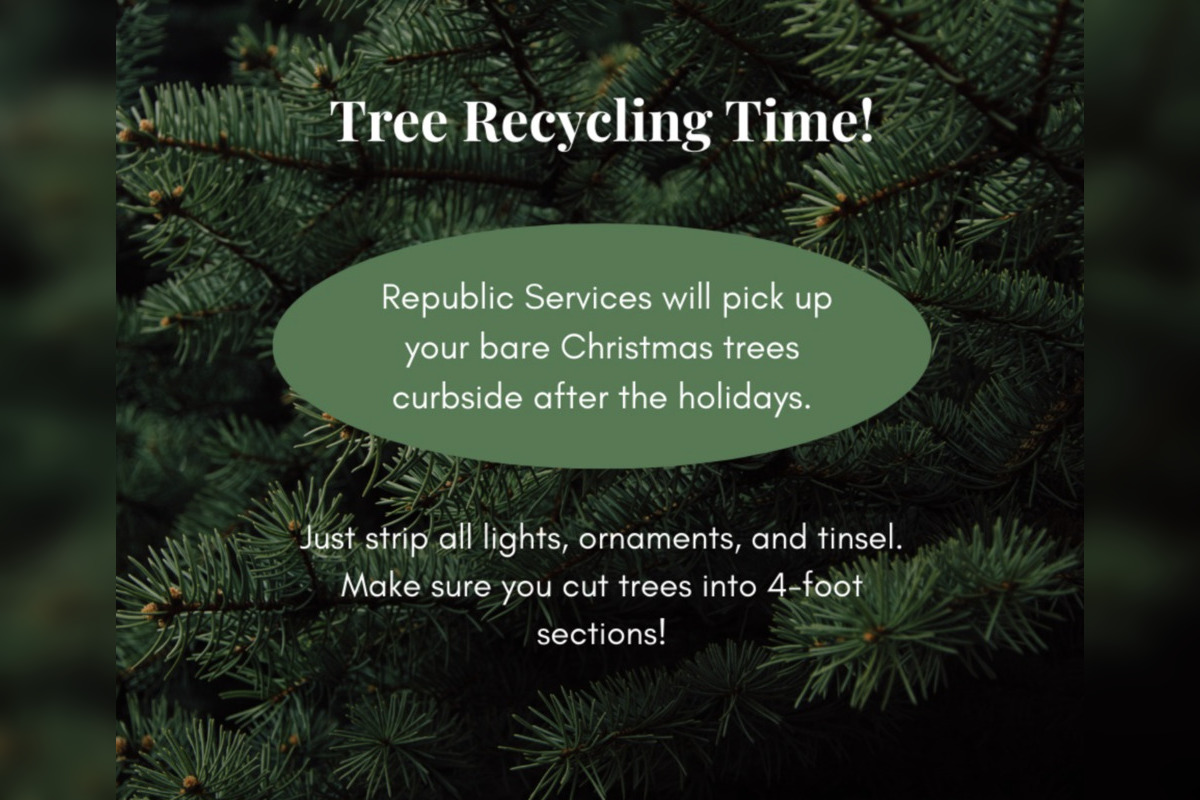 Hazelwood Launches Christmas Tree Recycling Program for Sustainable