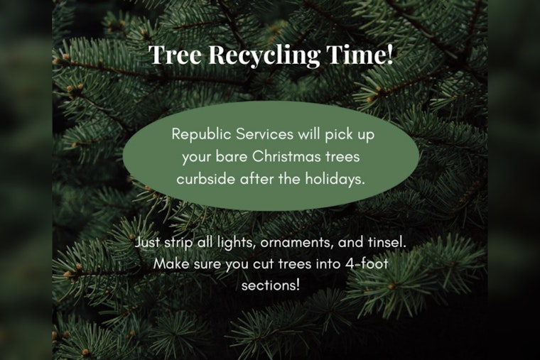 Hazelwood Launches Christmas Tree Recycling Program for Sustainable