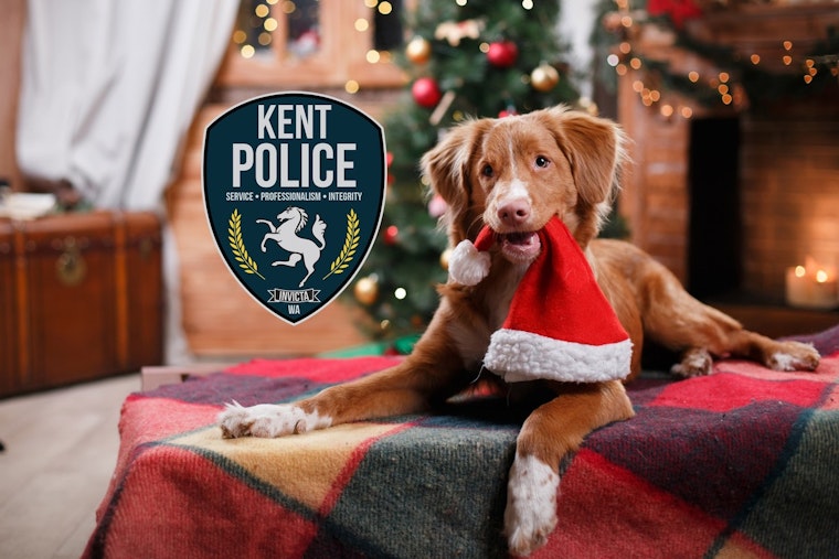 Kent Police Department Shares Vital Tips to Keep Pets Safe During the