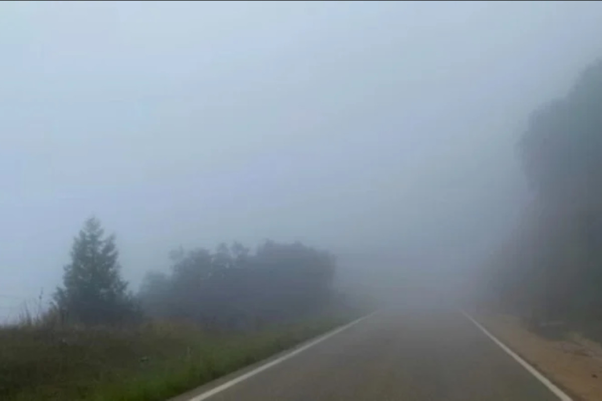 Knoxville Shrouded in Freezing Fog, NWS Issues Travel Advisory Amidst