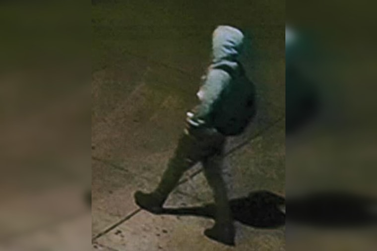 Logan Square Community on Alert After Series of Battery and Attempted