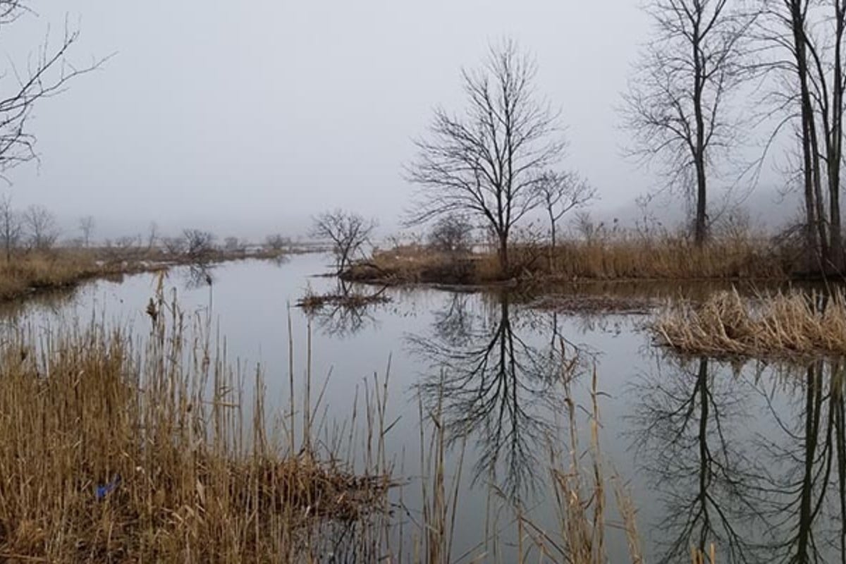 Mentor's Call to Action: Safeguard Lake Erie's Watershed This Winter
