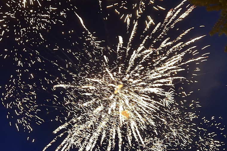 Milton Sets 200-Yard Firework-Free Zones Near Equine Properties for