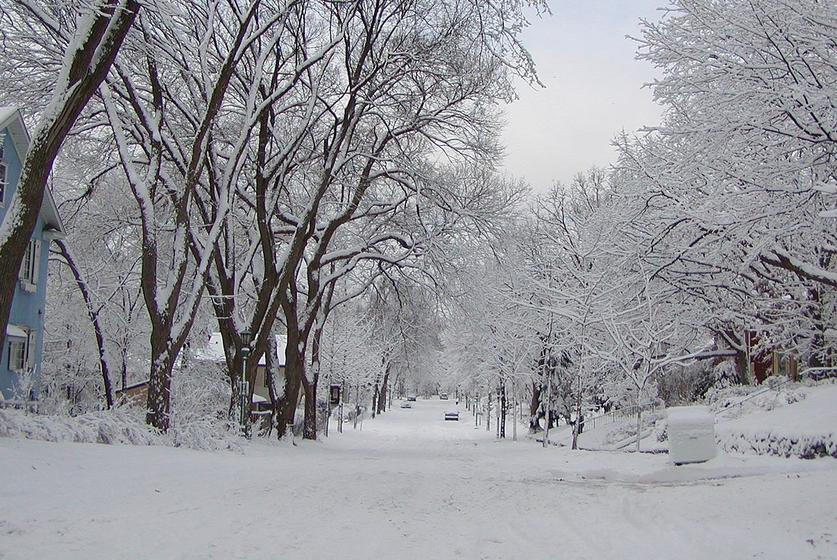 Minneapolis Declares Snow Emergency, Parking Restrictions in Place to