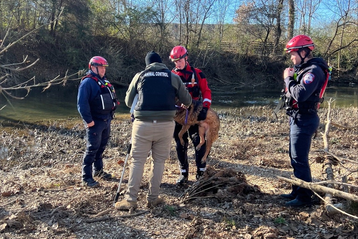 Murfreesboro Fire Rescue Team Heroically Saves Dog from West Fork