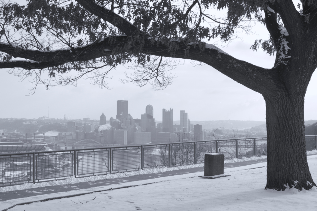 Pittsburgh Blanketed in Snow as Winter Weather Advisory Continues,