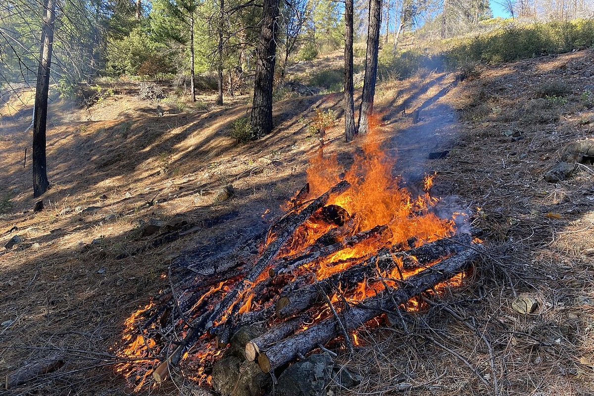 Prescribed Burn Activities on Fort Apache Reservation Continue Safely
