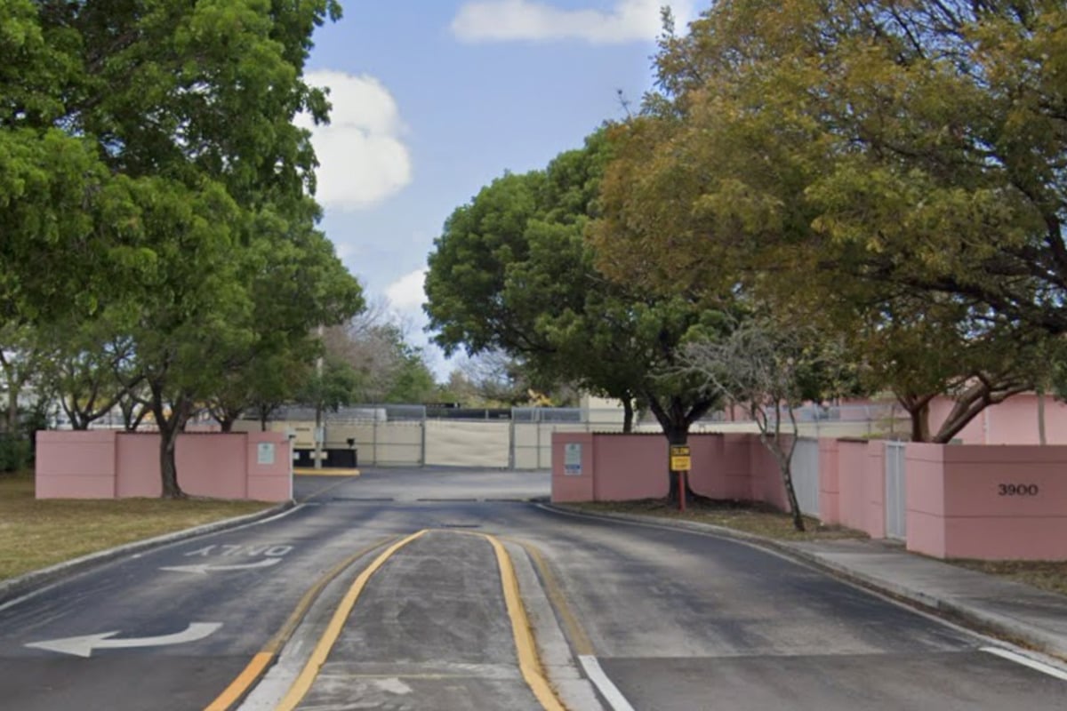 Protesters Rally for Migrant Rights on Christmas Day at ICE Detention