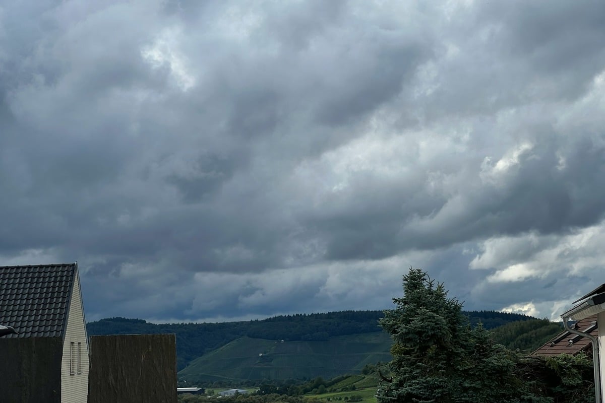 Rainy New Year Ahead for Los Angeles with Extended Wet Weather