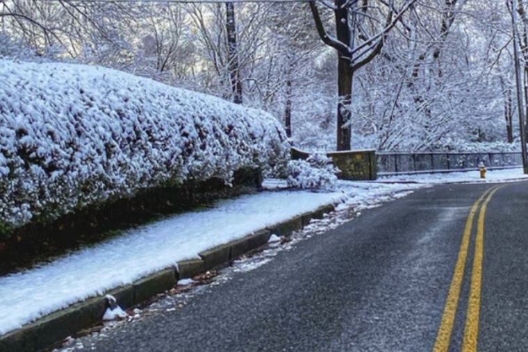 Raleigh Residents Advised to Leave Bins Out Amid Delays in Waste