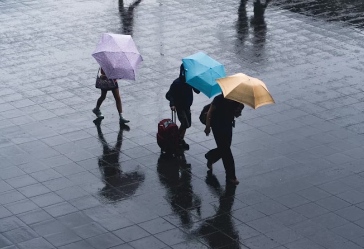 Relentless Rain Triggers Widespread Flooding in Seattle Area, Major