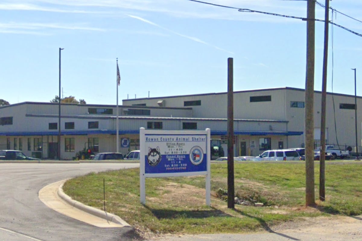Rowan County Animal Shelter Launches Doggie Day Out Program and