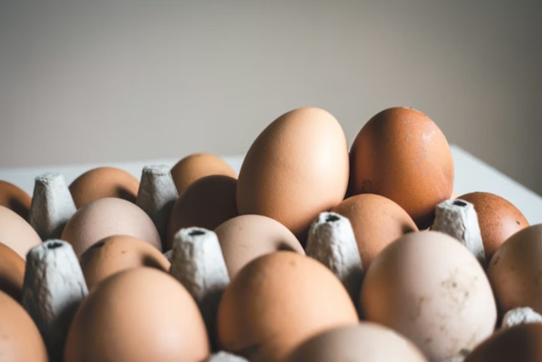 Sacramento and Davis on Alert as Vega Farms Recalls Eggs Due to