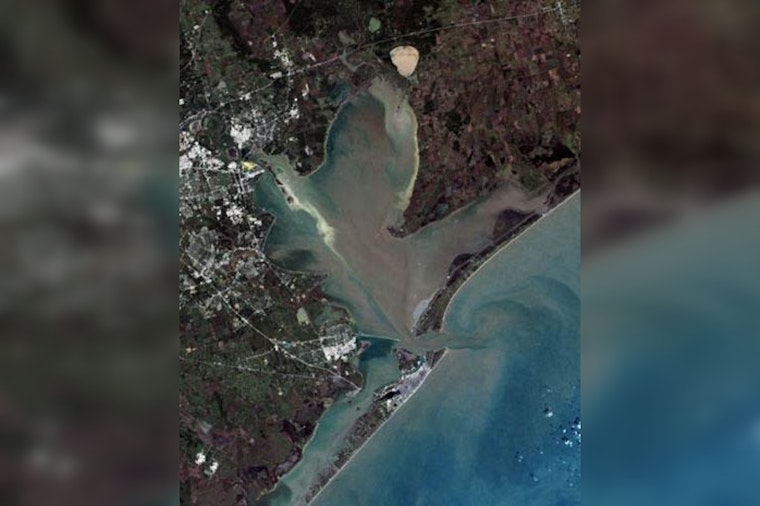 Search Intensifies for Missing Passenger After Mexican Navy Plane