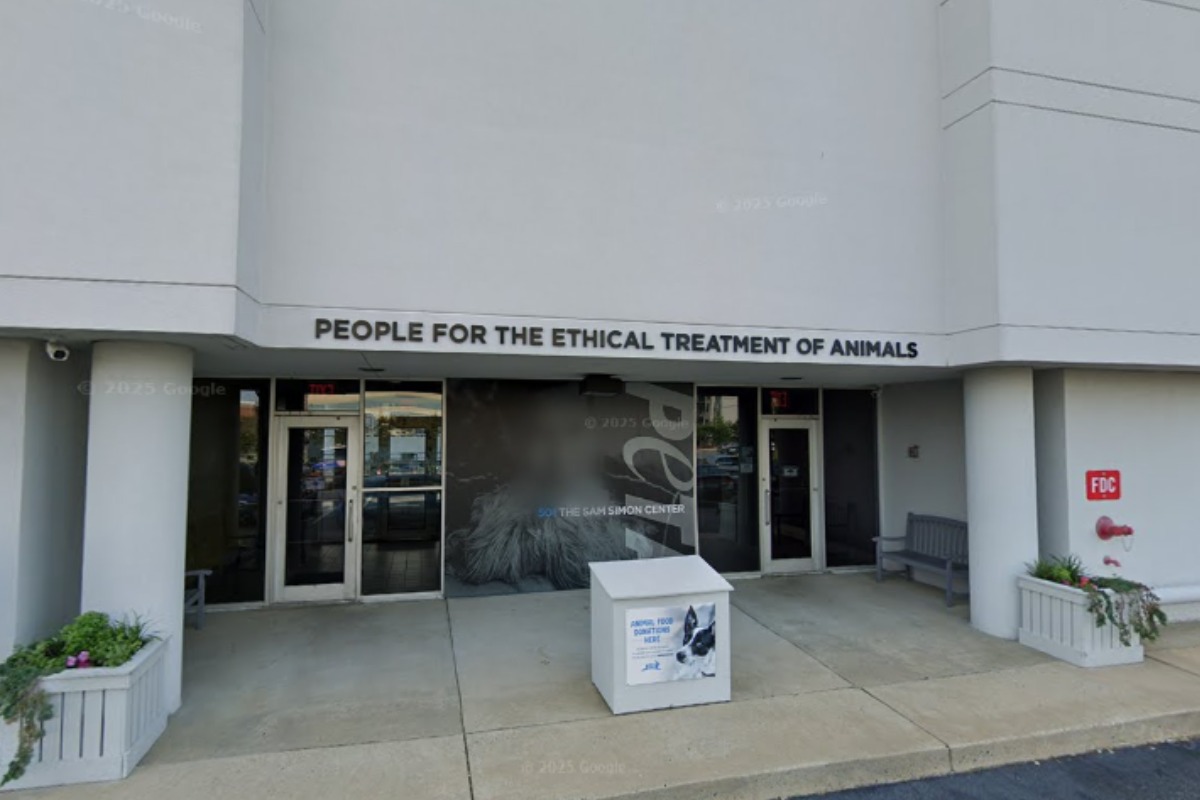 Sonoma Goat Cheese Darling Drops Oregon Dairy After Disturbing Abuse