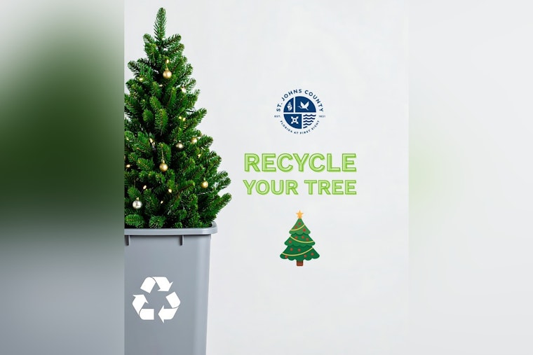 St. Johns County Launches Free "Treecycling" Program for Christmas