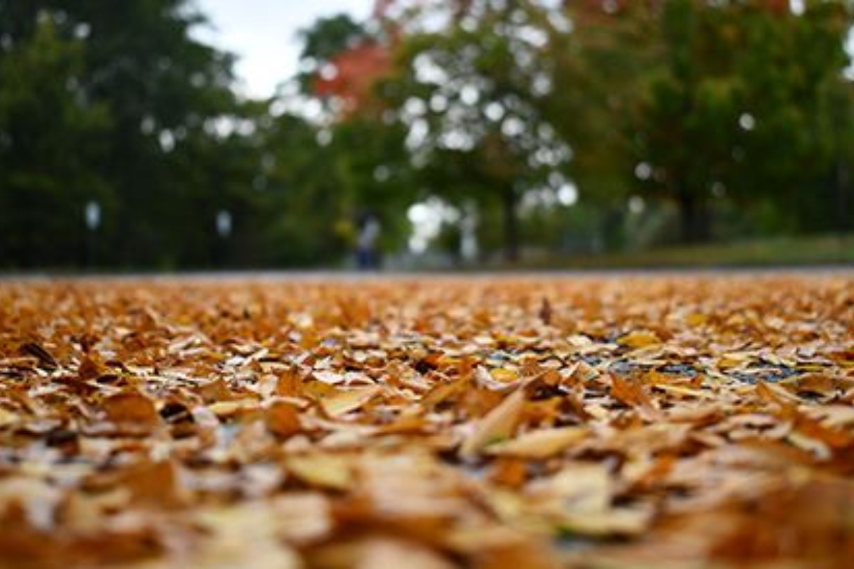 Upper Arlington Leaf Collection Program Ends December 7: Residents